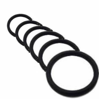 Dichtring EPDM DN100 5mm Milchleitung | DN 100 | 800960